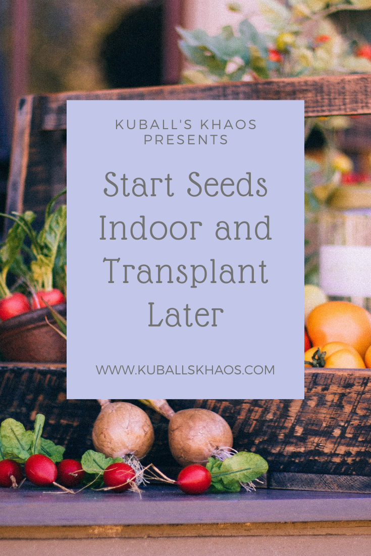 How to Start Your Seeds Indoors | Kuball's Khaos