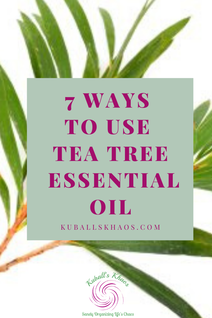7 Ways to Use Tea Tree Oil - Kuball's Khaos